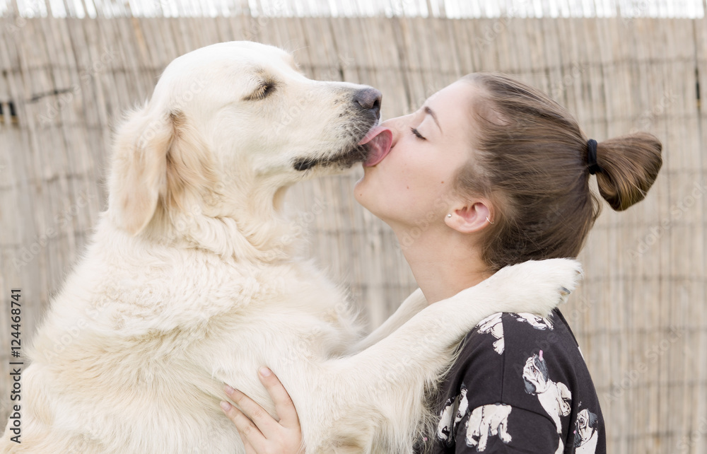 Dog breed Golden Retriever giving a hug to his owner. Take horizontal ...