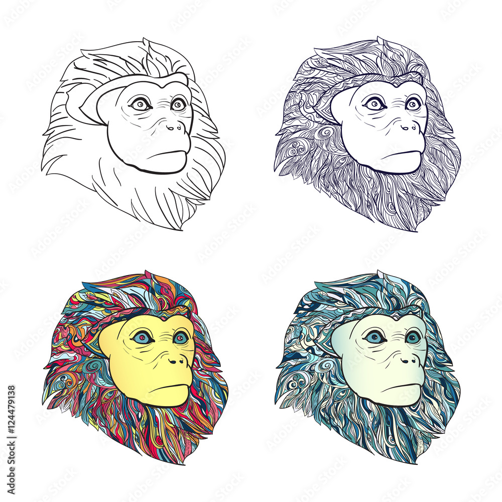 Drawing of set of monkey head with pattern for coloring on whit Stock ...