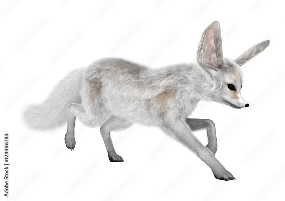 3D Rendering Fennec Fox on White Stock Illustration | Adobe Stock
