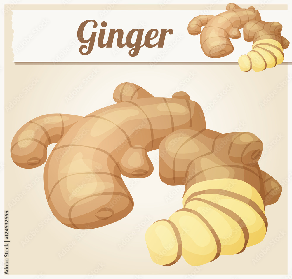 Ginger root illustration. Cartoon vector icon. Series of food and ...