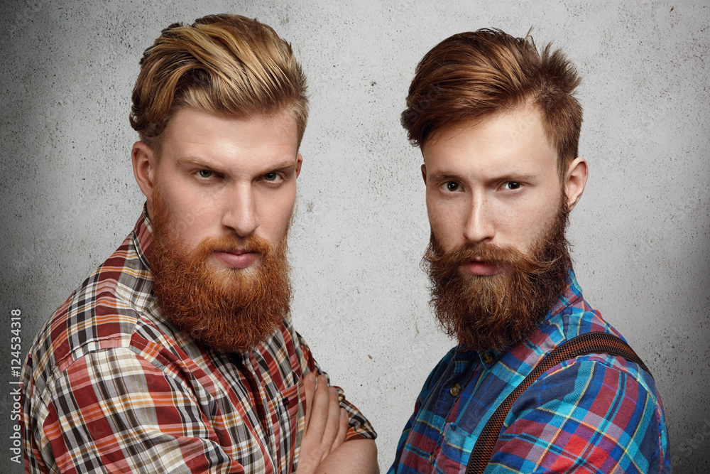 Two young Caucasian handsome brothers posing together indoors ...
