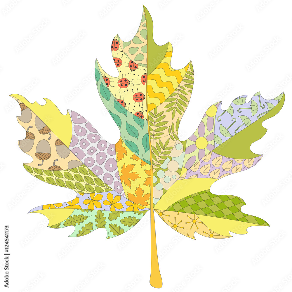 vector illustration of hand drawn doodle maple leaf Stock Vector ...