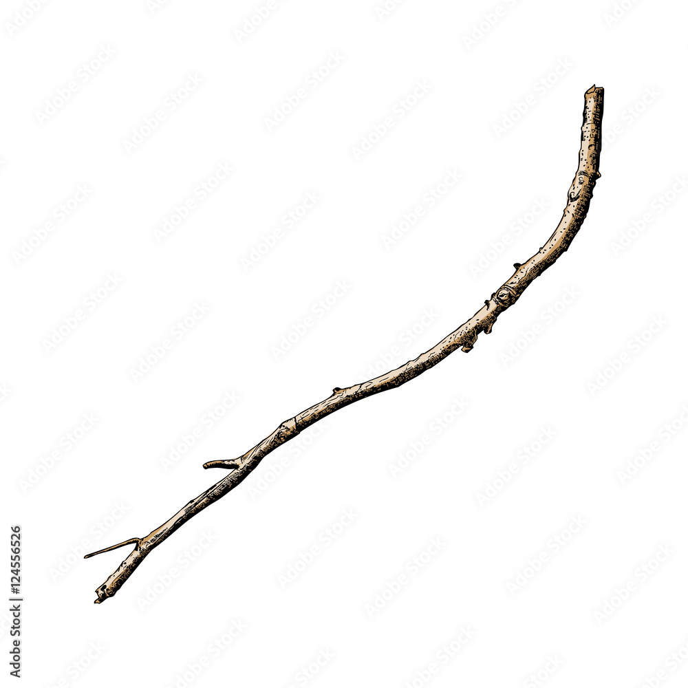 Twig Stick