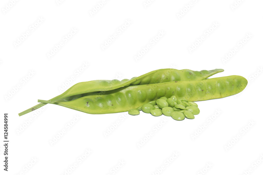 Bitter bean, Twisted cluster bean ( Parkia speciosa) thai vegeta Stock ...