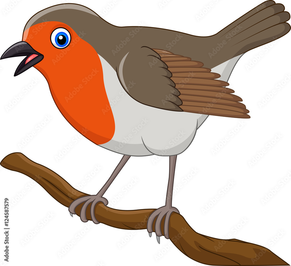 Cartoon beautiful robin bird Stock Vector | Adobe Stock