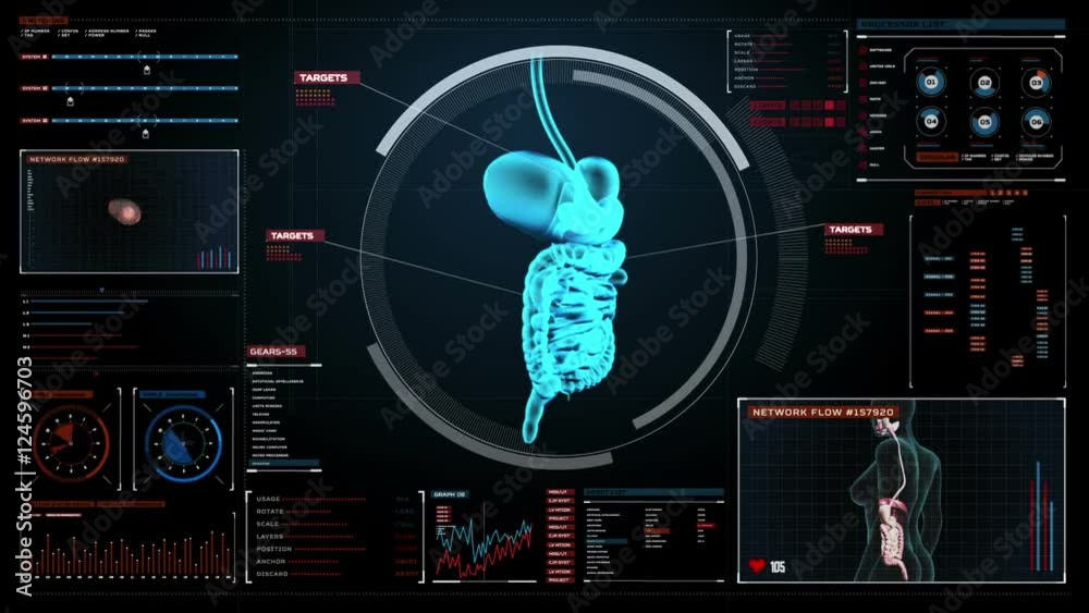 Zooming body scanning internal organs, Digestion system in digital ...