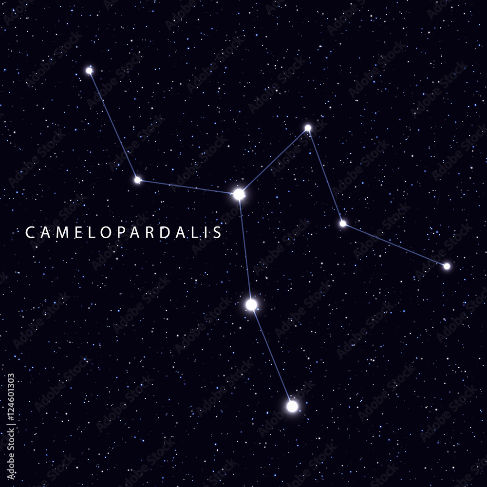 Camelopardalis Constellation