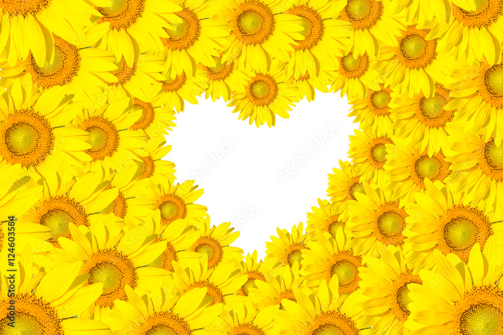 Sunflower heart frame 스톡 사진 | Adobe Stock