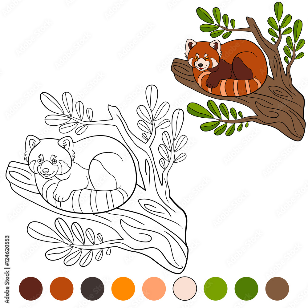 Coloring page: red panda. Little cute red panda. Stock Vector | Adobe Stock