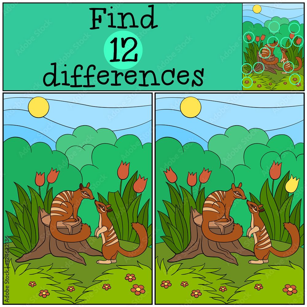 Educational game: Find differences. Two little cute numbats. Stock ...