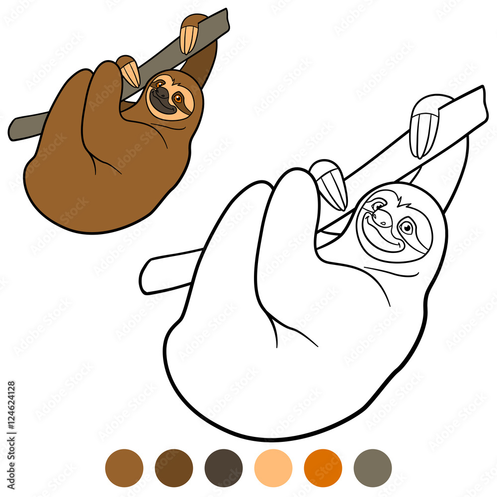 Coloring page. Cute lazy sloth hangs on the tree branch. Stock Vector ...
