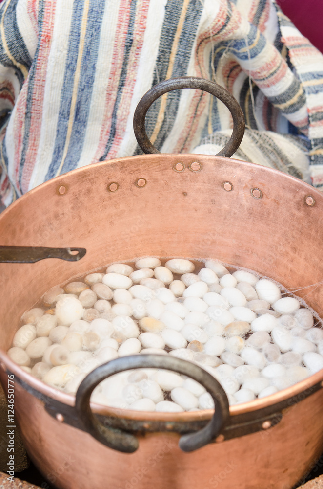 Silkworm Cocoon Boiling