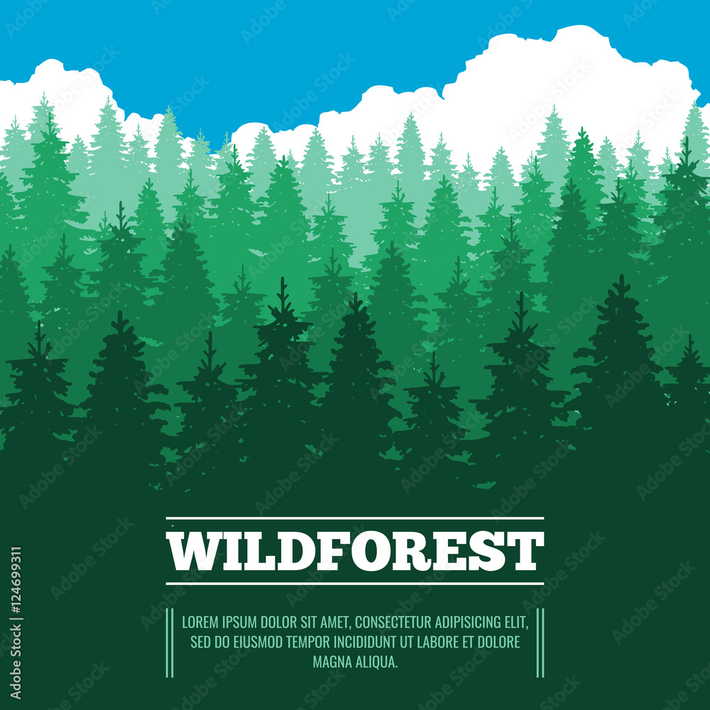 Wild landscape with fir trees coniferous forest vector illustration ...