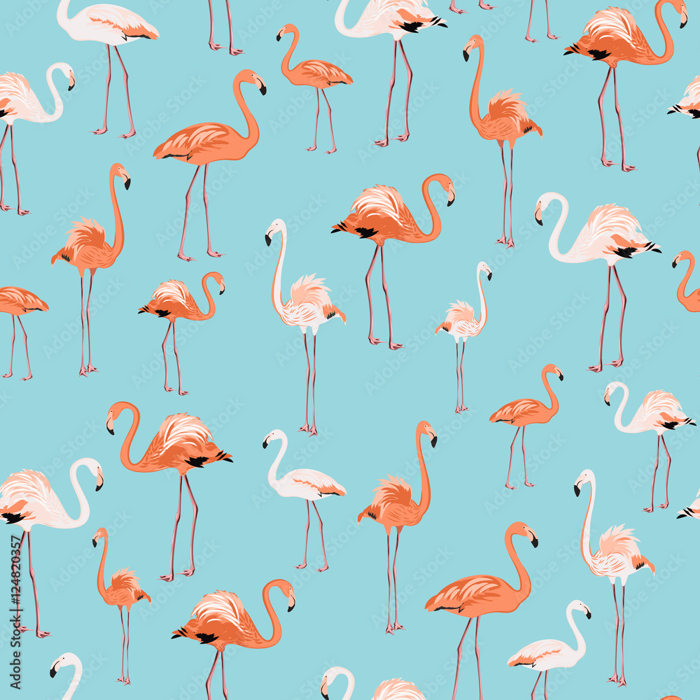 Elegant flamingos pattern on sky blue background Stock Vector | Adobe Stock