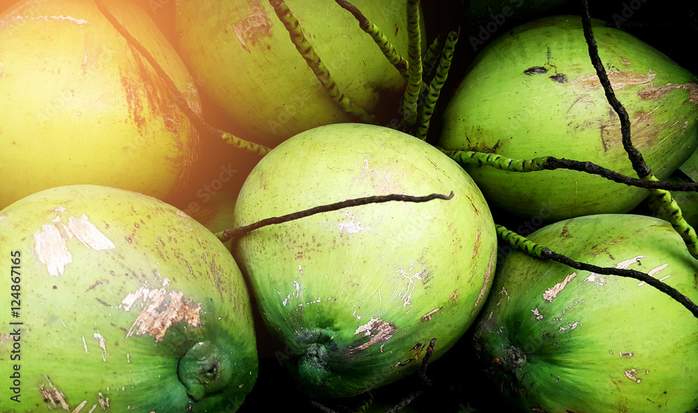 Young green fresh group of coconut fruits from a coconut tree. Stock ...