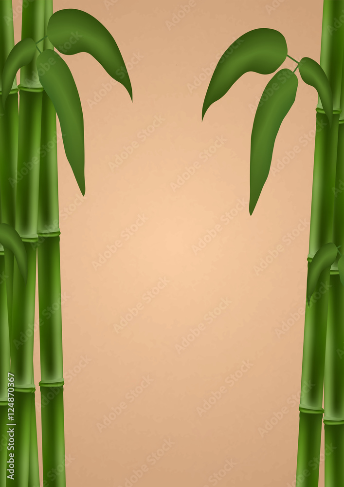 Bamboo poster. Template for design. Vector illustration. Stock Vector ...