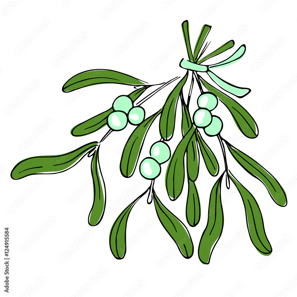 simple holly color vector illustration Stock Vector | Adobe Stock