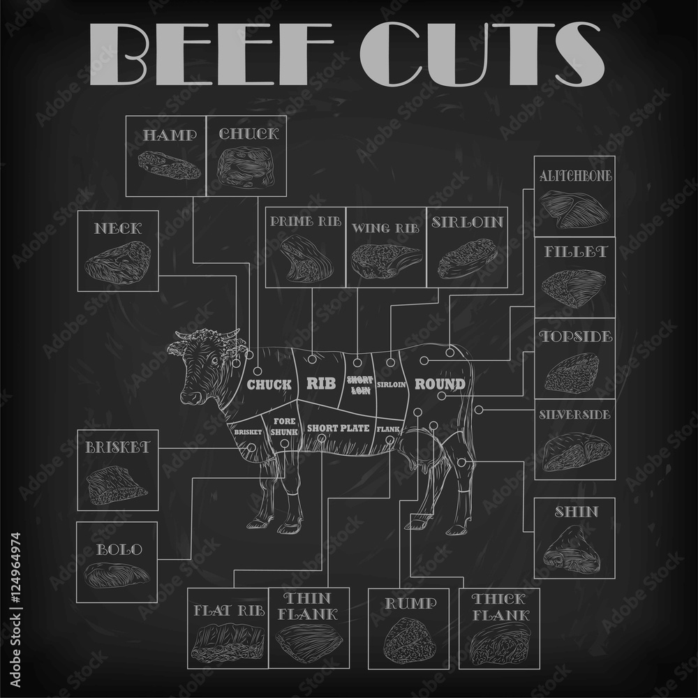 Beef cow bull whole carcass cuts cut parts infographics scheme sign ...