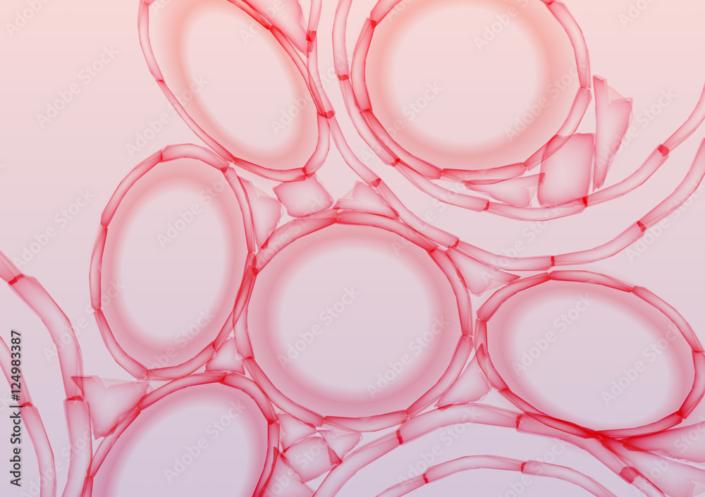 Alveoli in Lungs Tissue Slice, Cross section - Vector Illustrati Stock ...