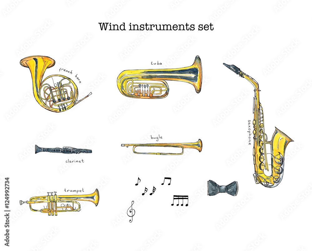 Watercolor Hand drawn sketch illustration of Wind instruments set with ...