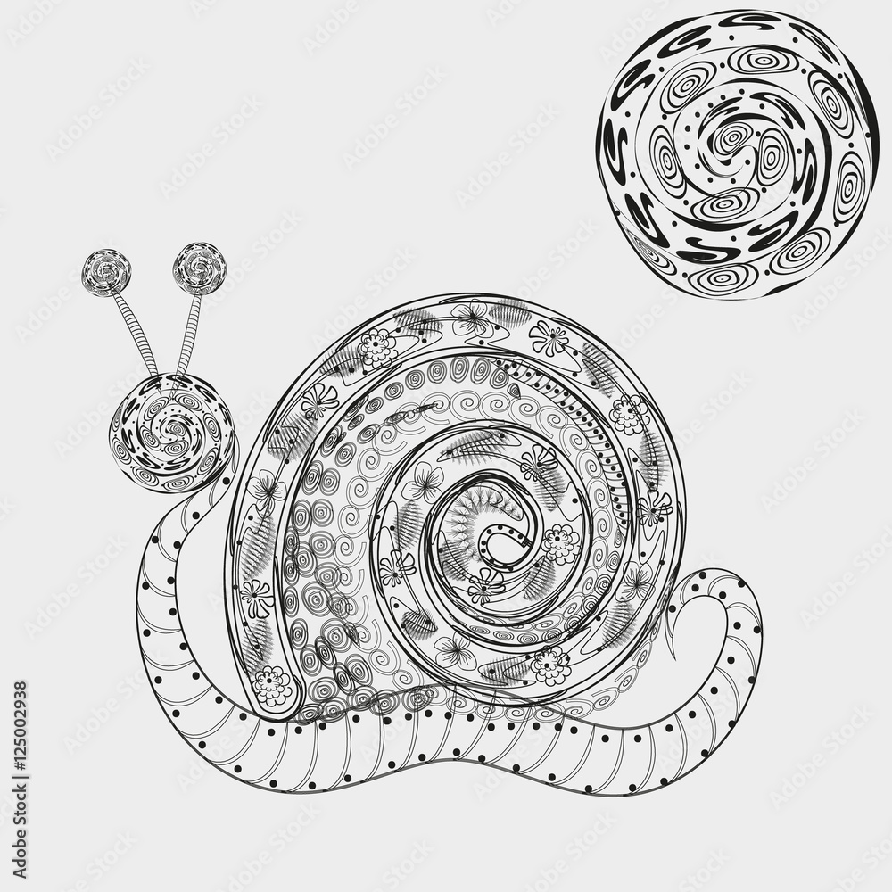 Snail Shell Drawing