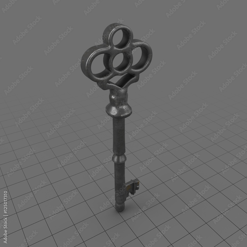 Skeleton Key 1 Stock 3D asset | Adobe Stock