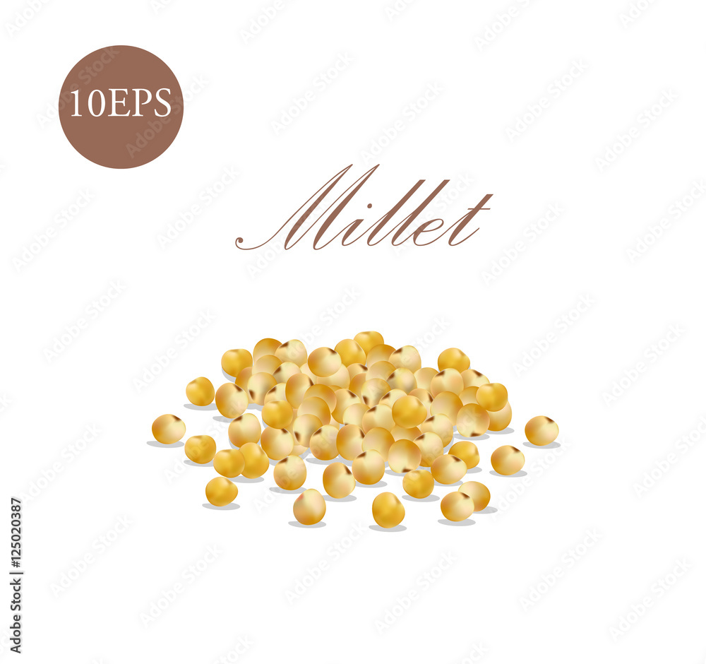 Millet. Vector illustration of 10 EPS vector de Stock | Adobe Stock