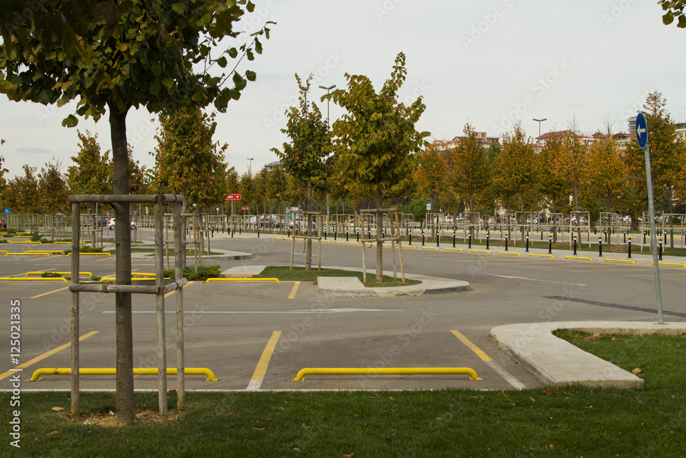 Car parking in ther park with yellow lines Stock Photo | Adobe Stock