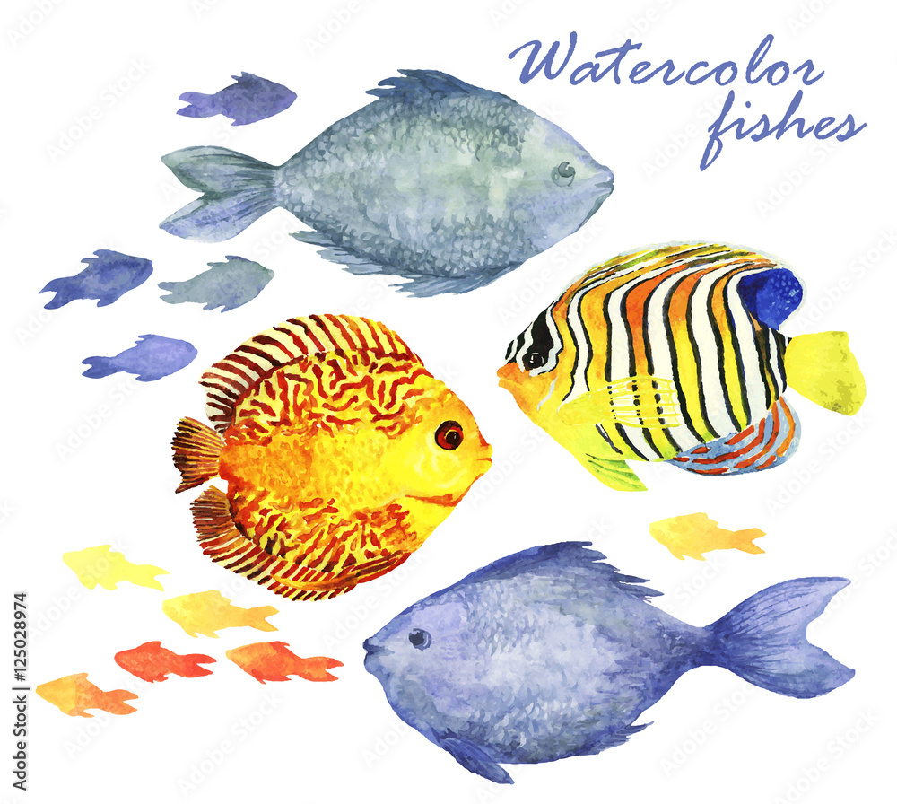 Watercolor fishes set. Collection of hand drawn fishes isolated on ...