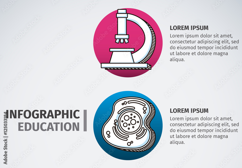 Colorful Hand-Drawn Science Education Infographic Layout Stock Template ...
