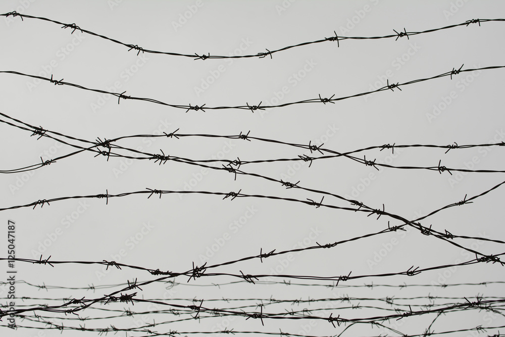 Barbed Wire Fence Concentration Camp