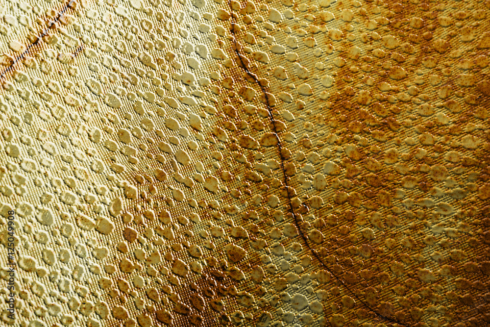 Rusty Golden background, texture for the design Stock Photo | Adobe Stock