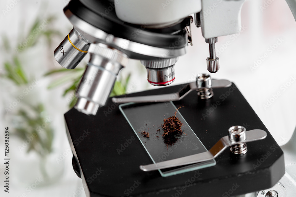 Poster analysis of soil samples under microscope – Wall Art | UkPosters