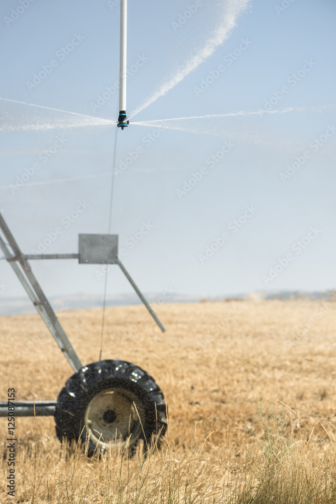 Irrigation sprayers in the field Stock Photo | Adobe Stock