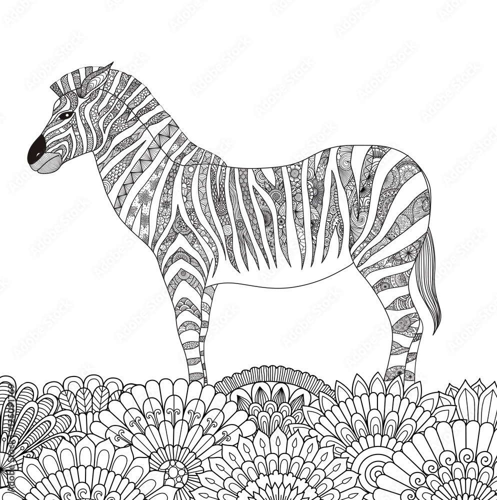 Zebra zentangle stylized for T- Shirt design, sign, poster, coloring ...