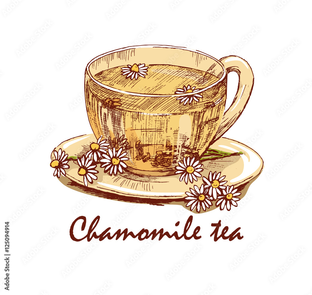 Colored hand drawn cup of chamomile tea. Cup of herbal tea and ...