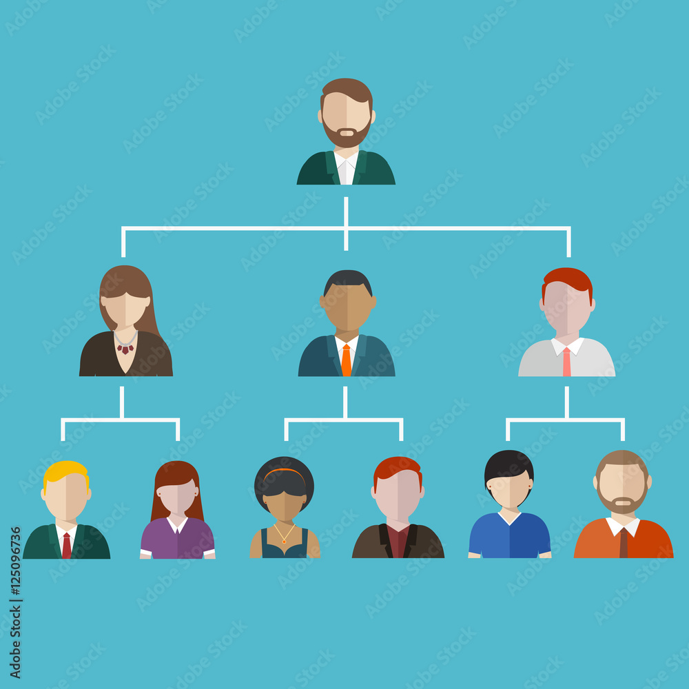 Hierarchy of company flat illustration isolated, human resource Stock ...