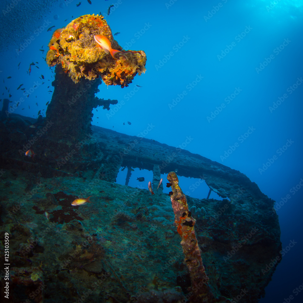 SS Thistlegorm Stock Photo | Adobe Stock