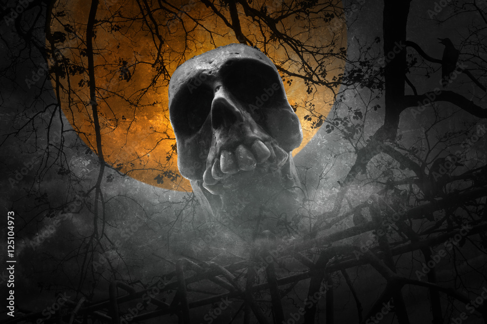 Human skull with old fence over dead tree, crow, moon and cloudy Stock ...