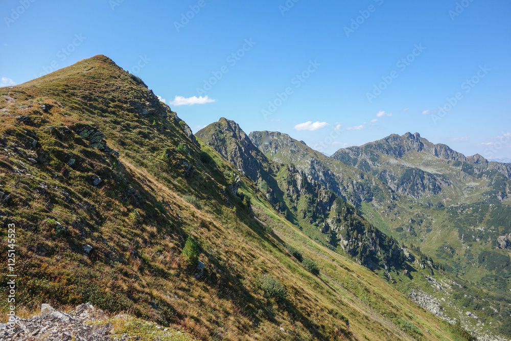 Planneralm im Sommer Stock-Foto | Adobe Stock