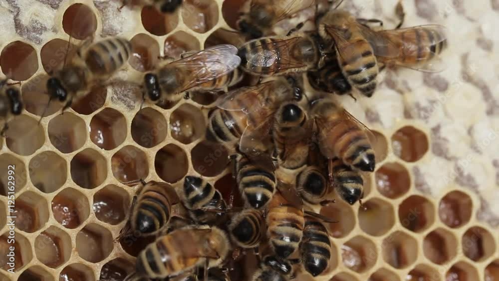 Geology - Load Structures / Load Casts Stock Video | Adobe Stock