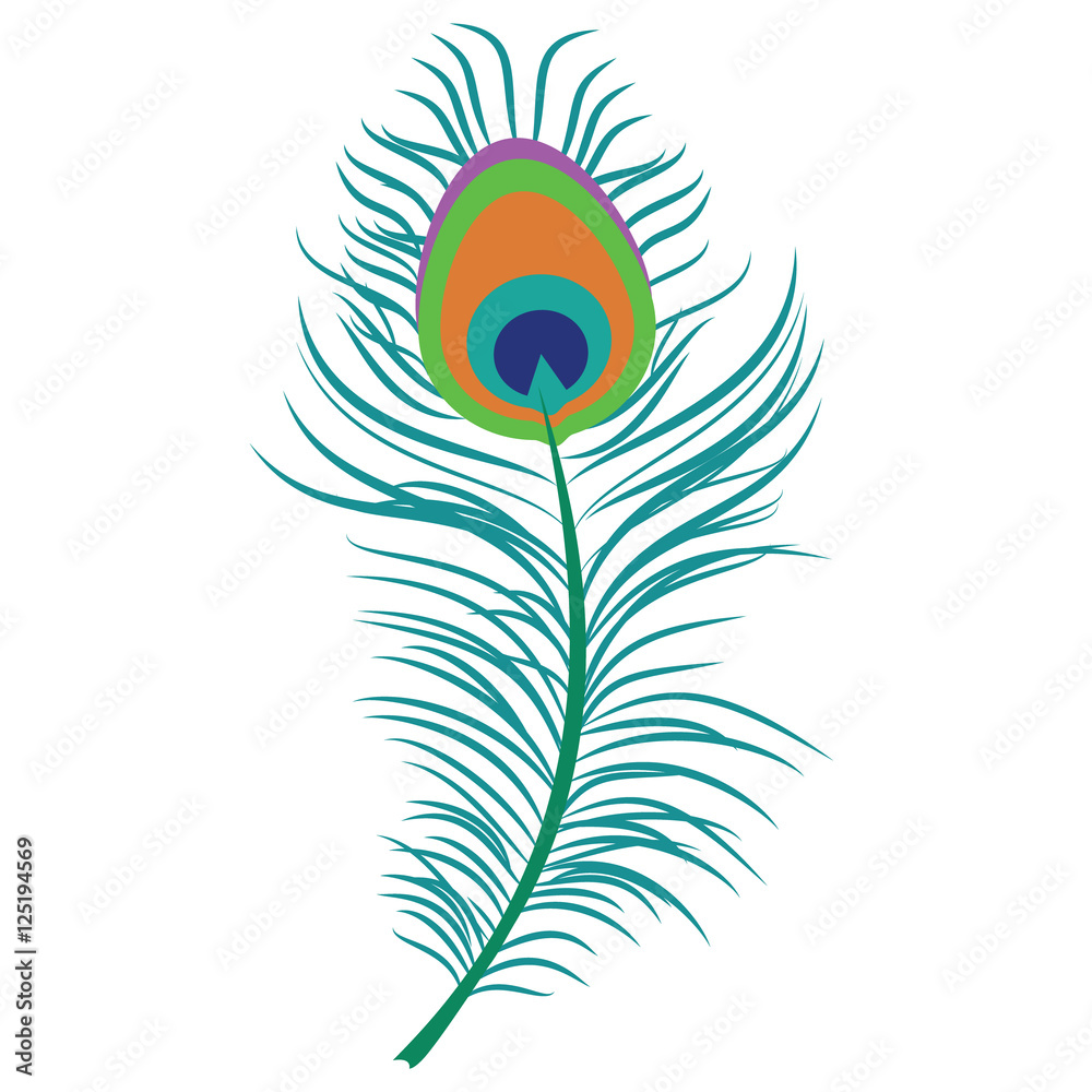 Peacock feather vector Stock Vector | Adobe Stock