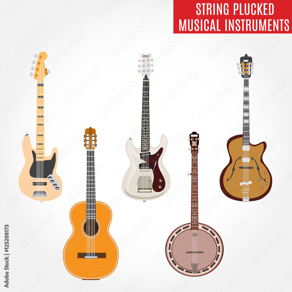 Set of string plucked musical instruments, vector illustration Stock ...