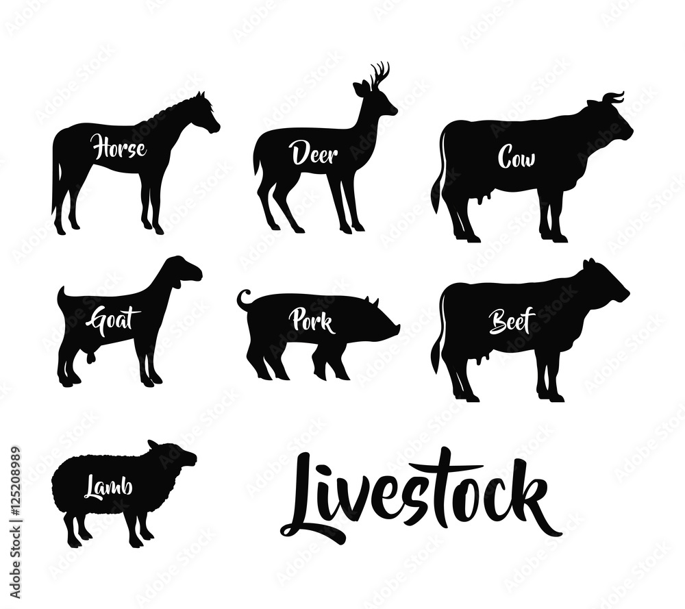Deer Mixed With Cow