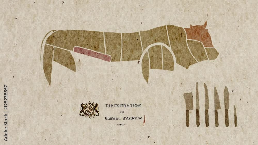 Diagrams Of Cow Body Parts Anatomy for Cuisine Purposes Stock 비디오 ...