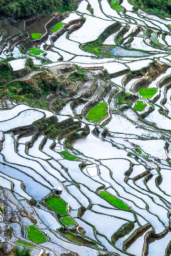Amazing abstract texture of rice terraces fields with sky colorful ...