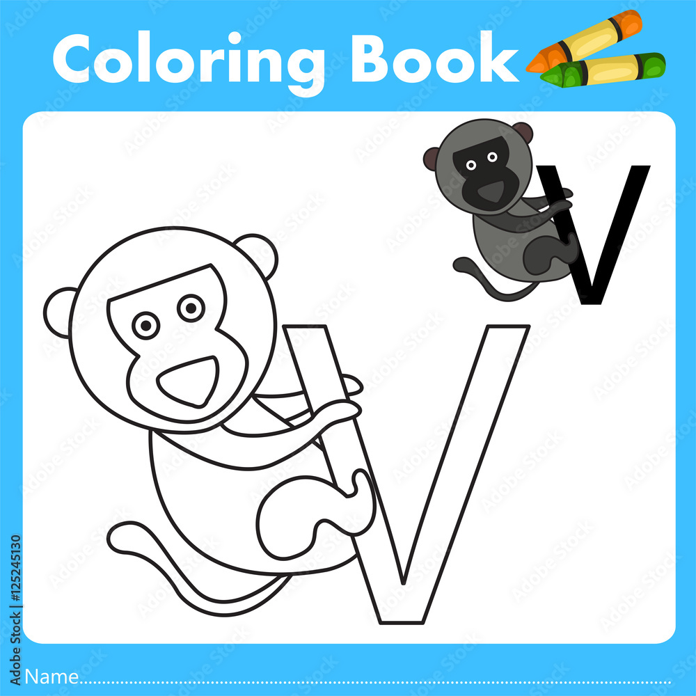 Illustrator of color book with vervet monkey animal Stock Vector ...