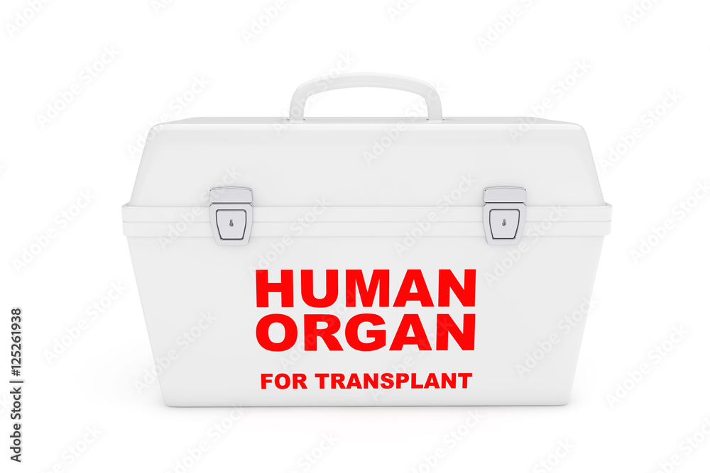 Fridge Box for transporting Human Donor Organs. 3d Rendering Stock ...