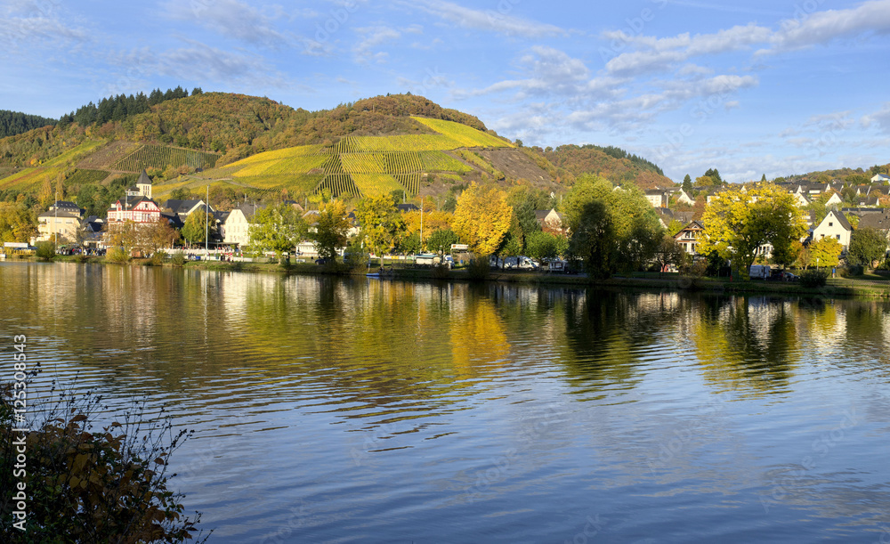 Herbstliche Mosel bei Bullay Stock-Foto | Adobe Stock