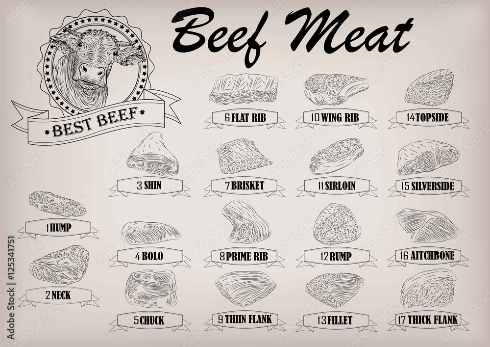 Beef cow bull whole carcass cuts cut parts infographics scheme Stock ...